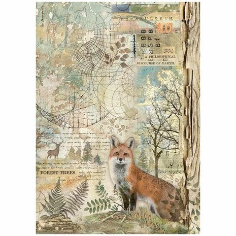 Riisipaperi, Stamperia Forest A4 Rice Paper Fox - Kalkkimaalikauppa.fi