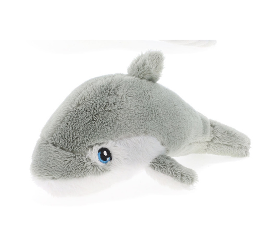 Pikkuinen delfiini - Kananlento