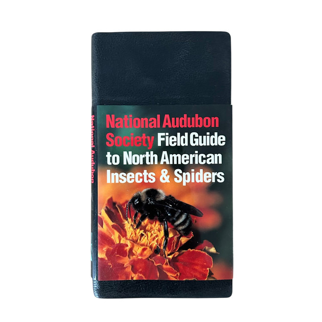 Field Guide to North American Insects & Spiders | Bazaari.fi