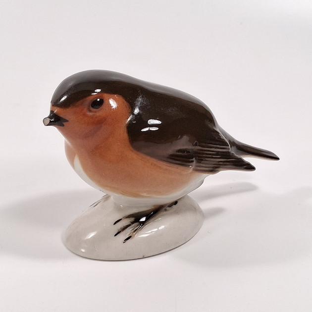 Figure, Robin redbreast, Lomonosov – VIGEA