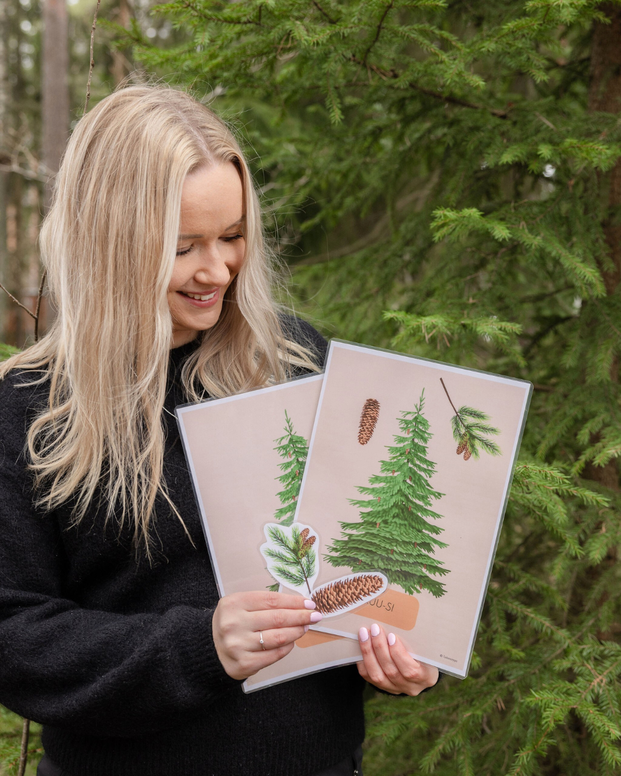 Viskari/Eskari – Taikanorppa