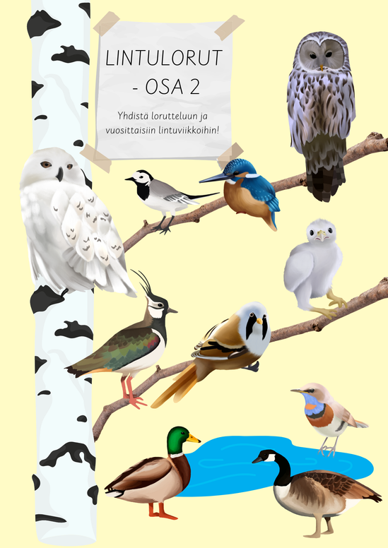 Lorukortit ja lorut | Taikanorppa