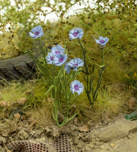 Cornflower (Ruiskaunokki) 1/35