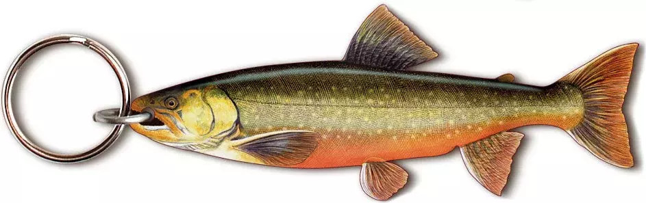 Kala-aiheinen avaimenperä, Nieriä (Salvelinus alpinus) - Nettipuoti ...