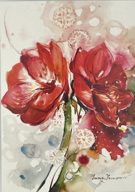 Amaryllis on joulukukka - Reetan Ruutu