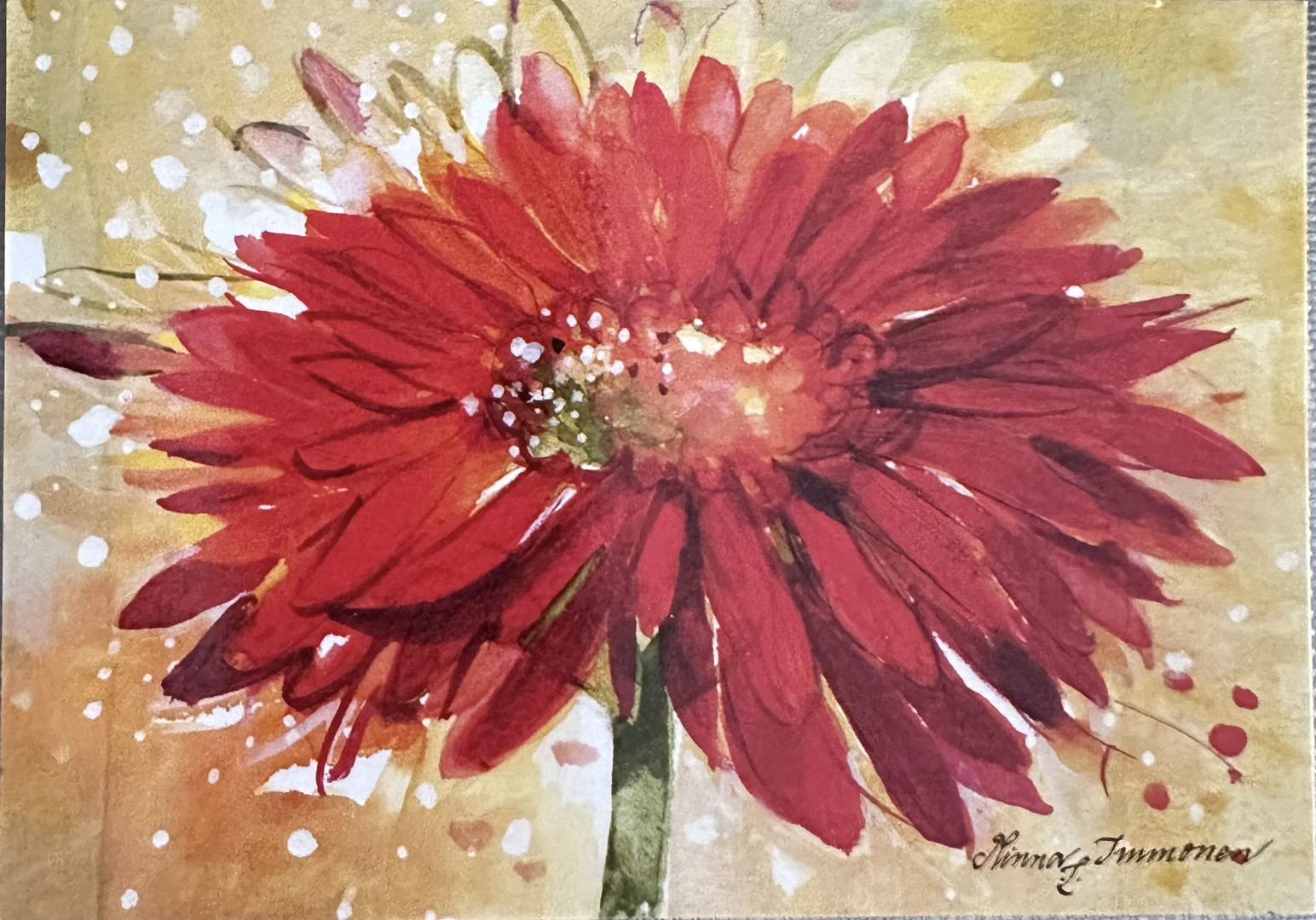 Punainen Gerbera - Reetan Ruutu