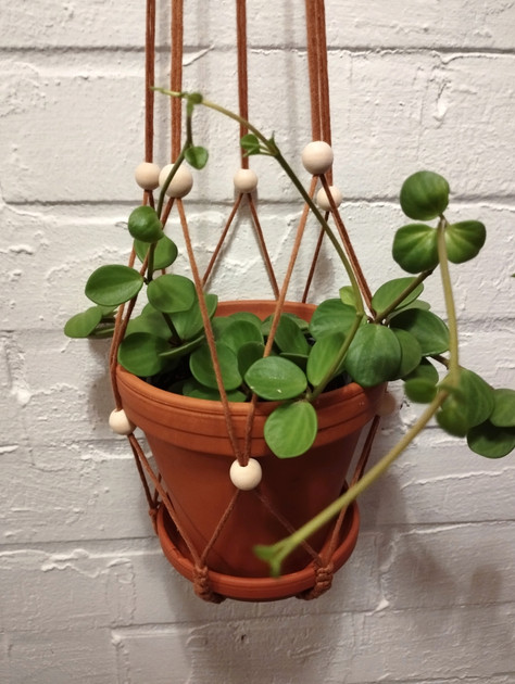 Amppeli, 100 cm, säädettävä, toffee - Vinputiikki Oy Verkkokauppa